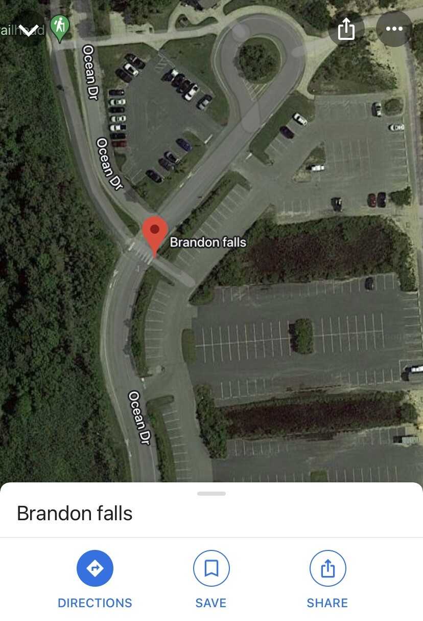 Google Deletes ‘Brandon Falls’ – Remi Tribe